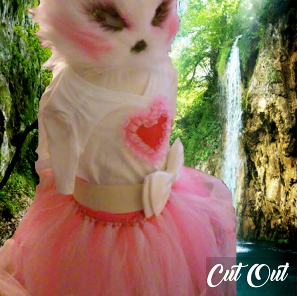 Handmade | Costumes | Fnaf Mangle Cosplay Costume | Poshmark